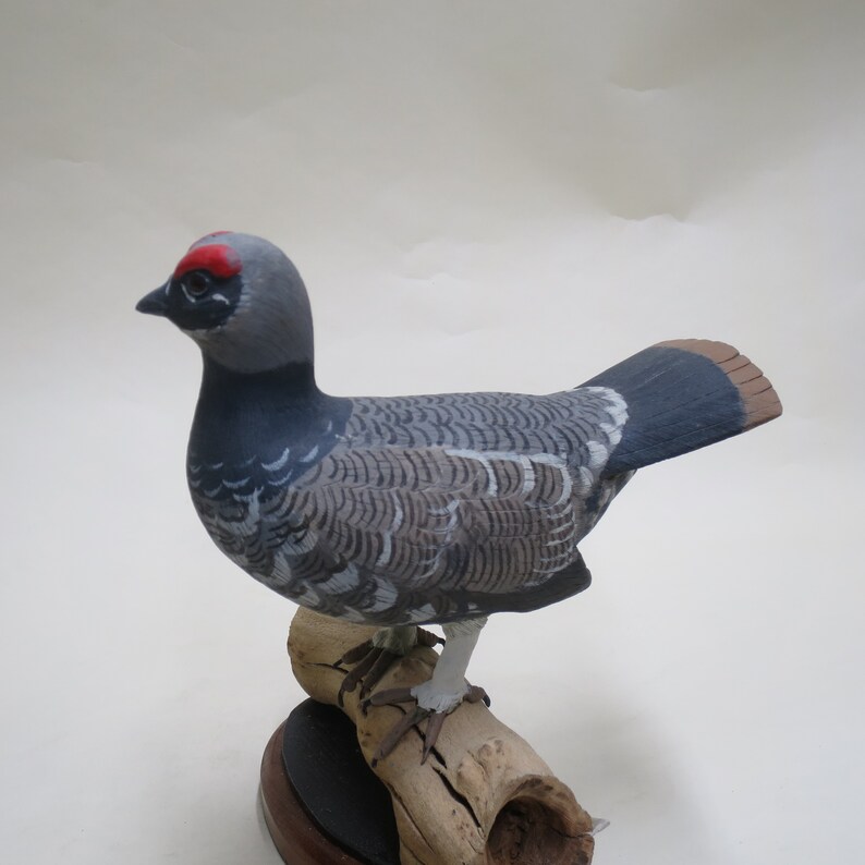 Spruce Grouse - Etsy