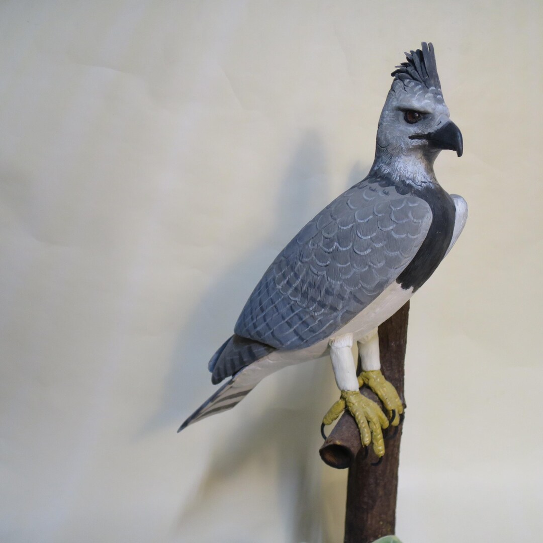 Harpy Eagle - Etsy
