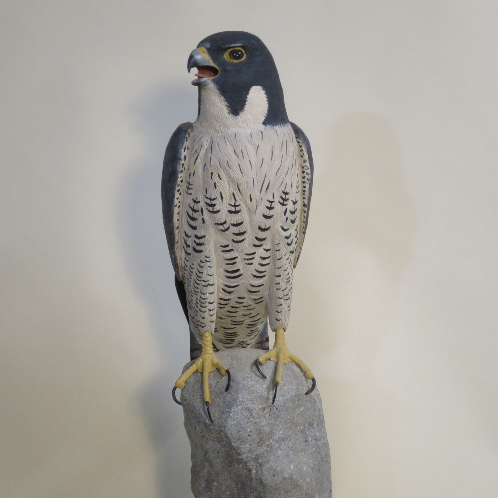 Peregrine Falcon - Etsy