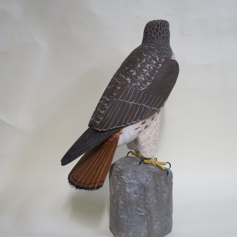 Red-tailed Hawk - Etsy