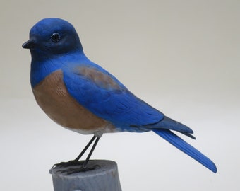 Western Bluebird Hand Carved Wooden Songbird - Etsy