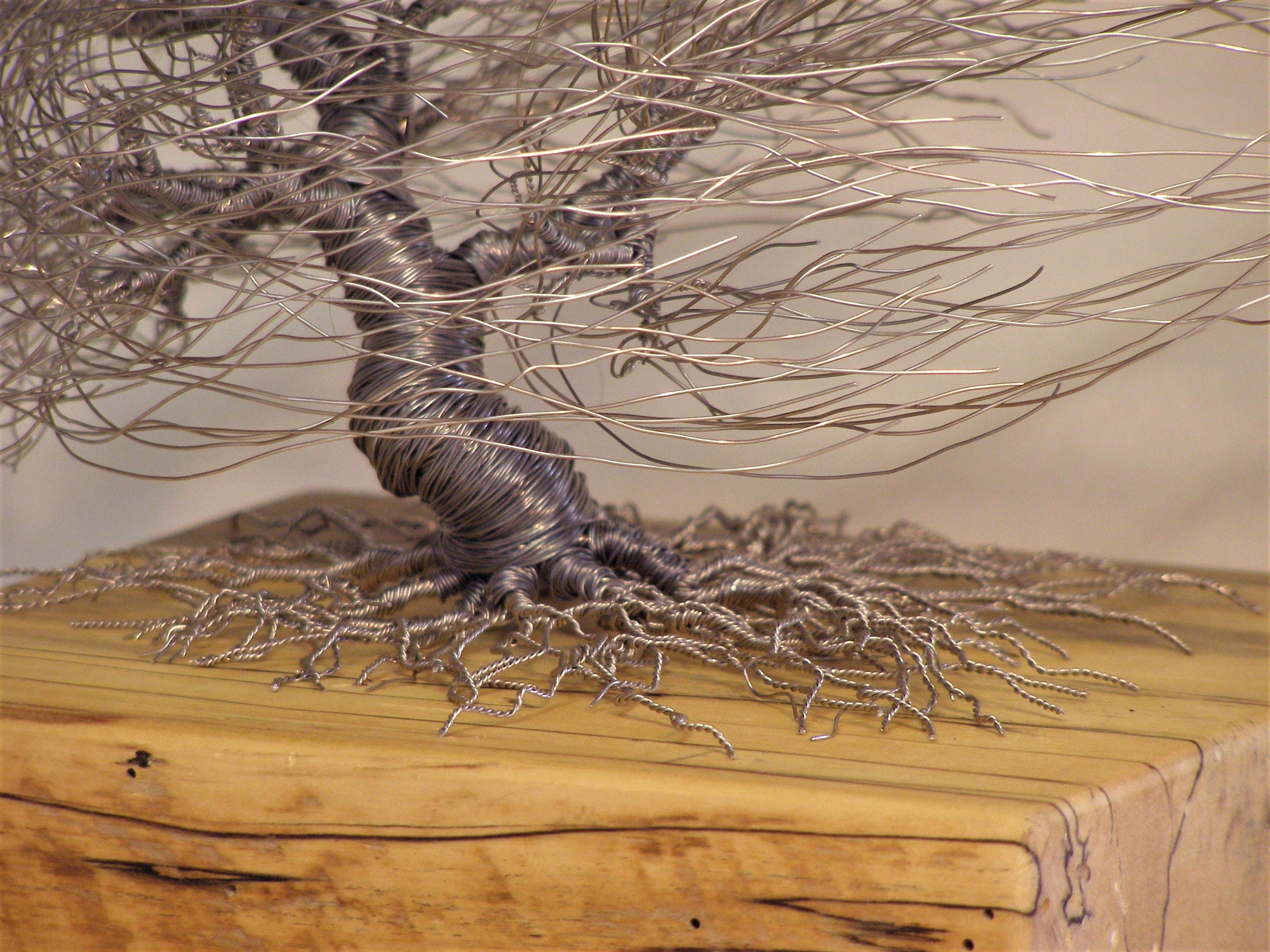Twisted and Wrapped Stainless Steel Windswept Tree Sculpture on Spalted ...