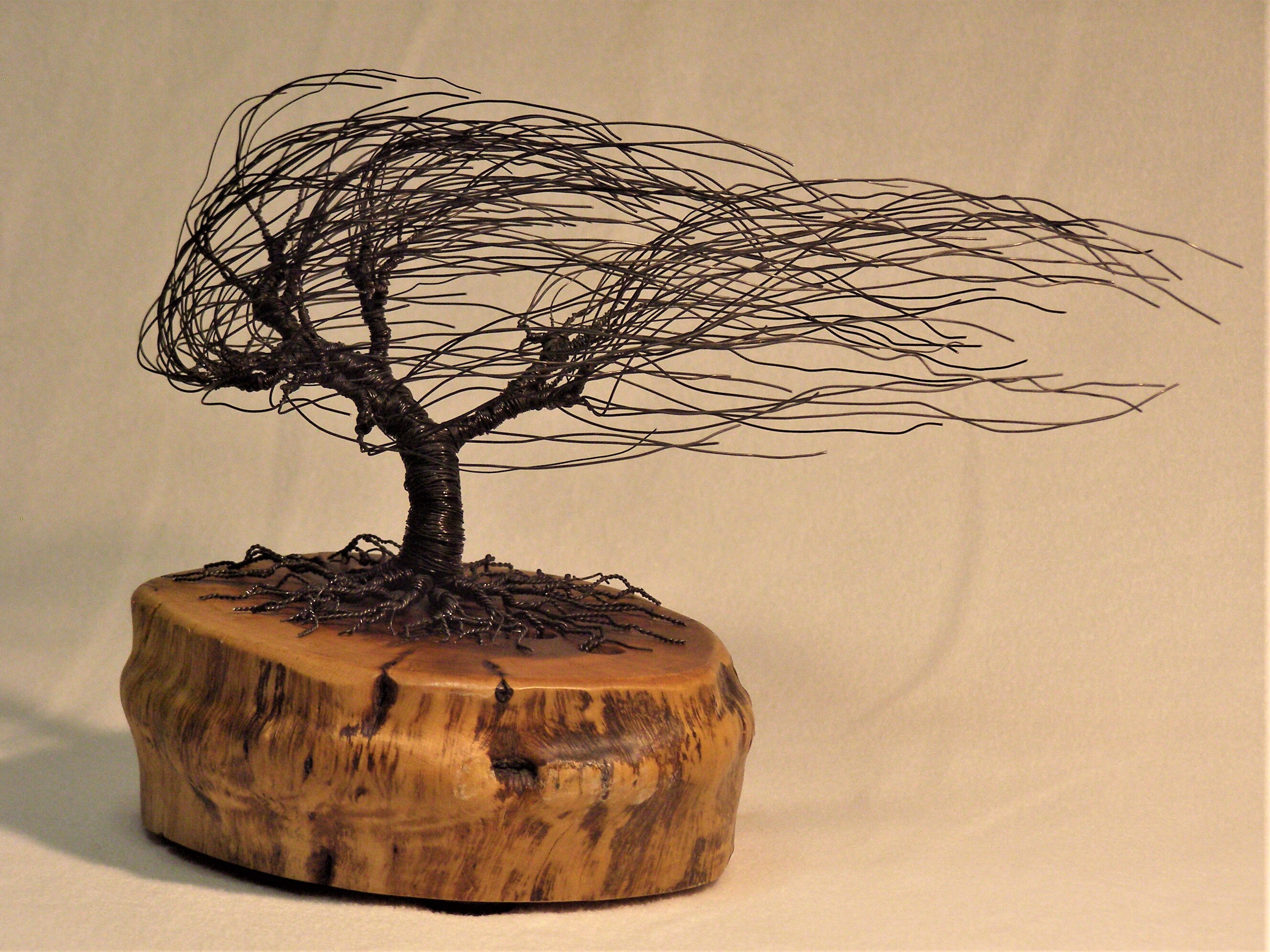 Sculpture Art Objects Art & Collectibles Wind Swept Tree Sculpture etna ...