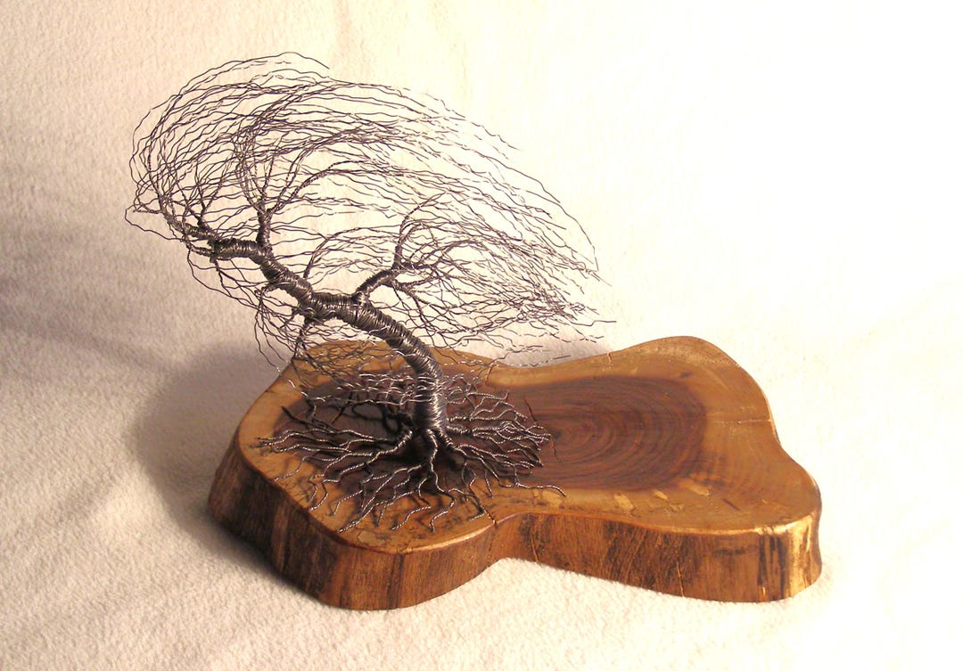 Windswept Steel Wire Tree Sculpture on Black Walnut Base - Etsy