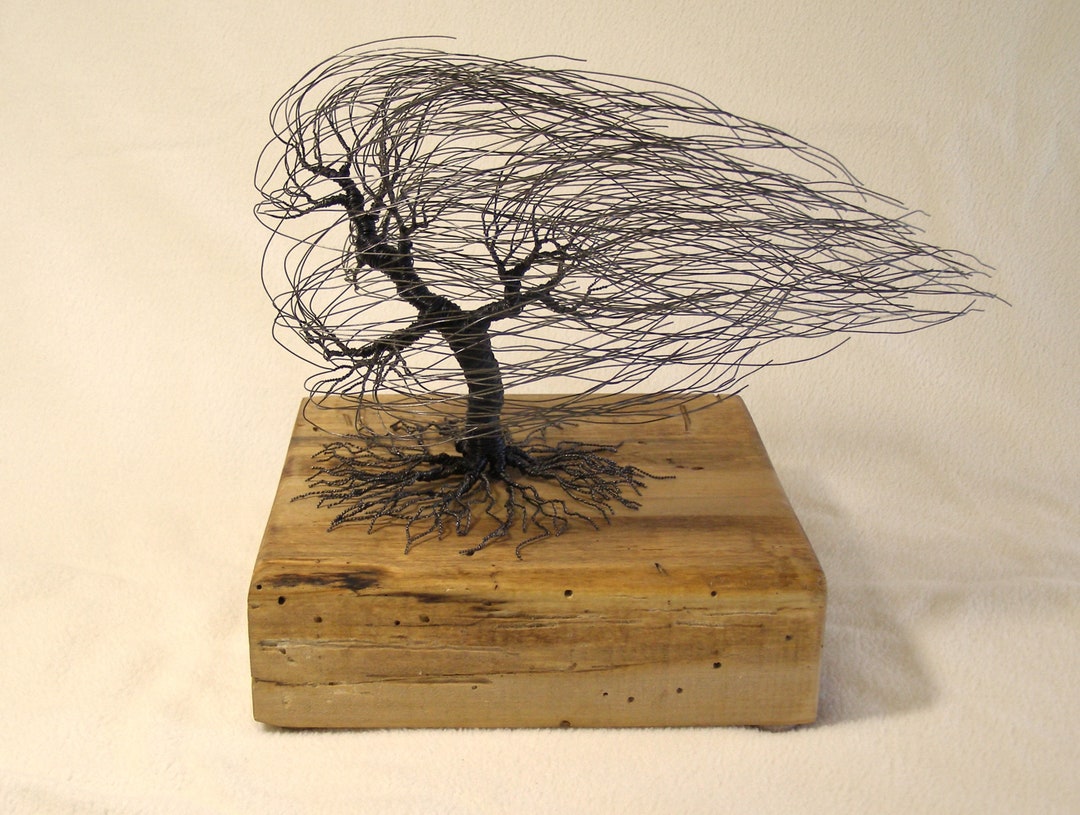 Twisted & Wrapped Black Iron Windswept Tree Sculpture on Wormy ...