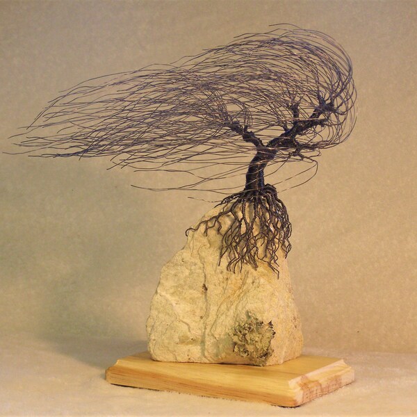 Windswept - Etsy