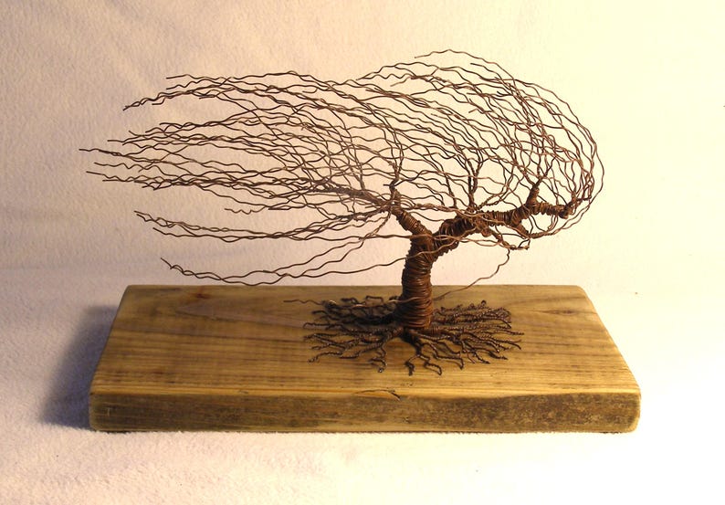 Escultura de árbol "rizado" azotado por el viento, hecha con alambre de ...