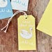 Watercolor Swan Gift Tag Set: All Occasion Gift Wrap - Etsy