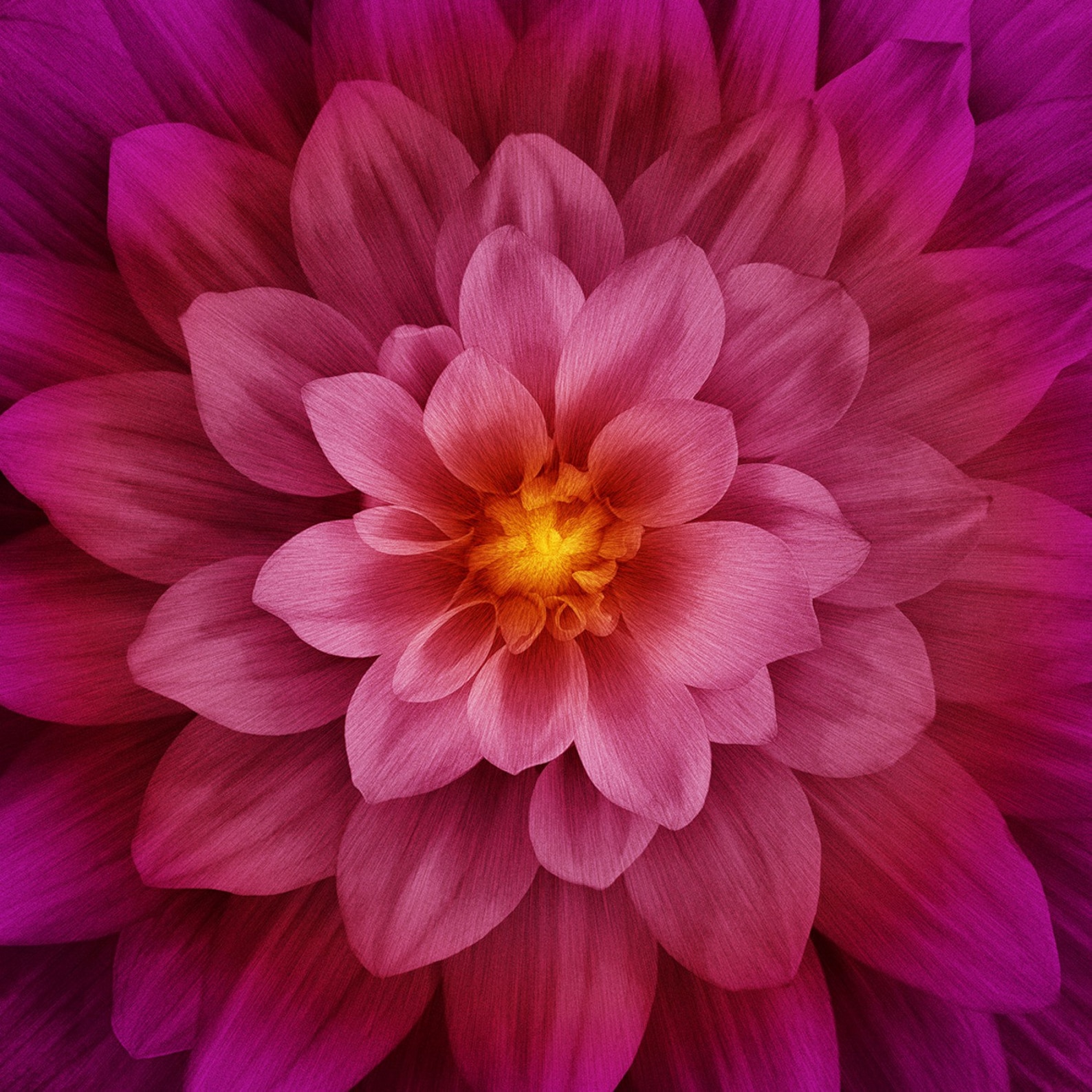 Dream Big Flower Digital Panel 43in X 43in Hoffman Fabrics - Etsy