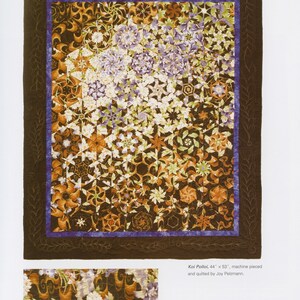 One-block Wonders, One Fabric, One Shape, One-of-a-kine Quilts, Quilt Book by Maxine Rosenthal ...