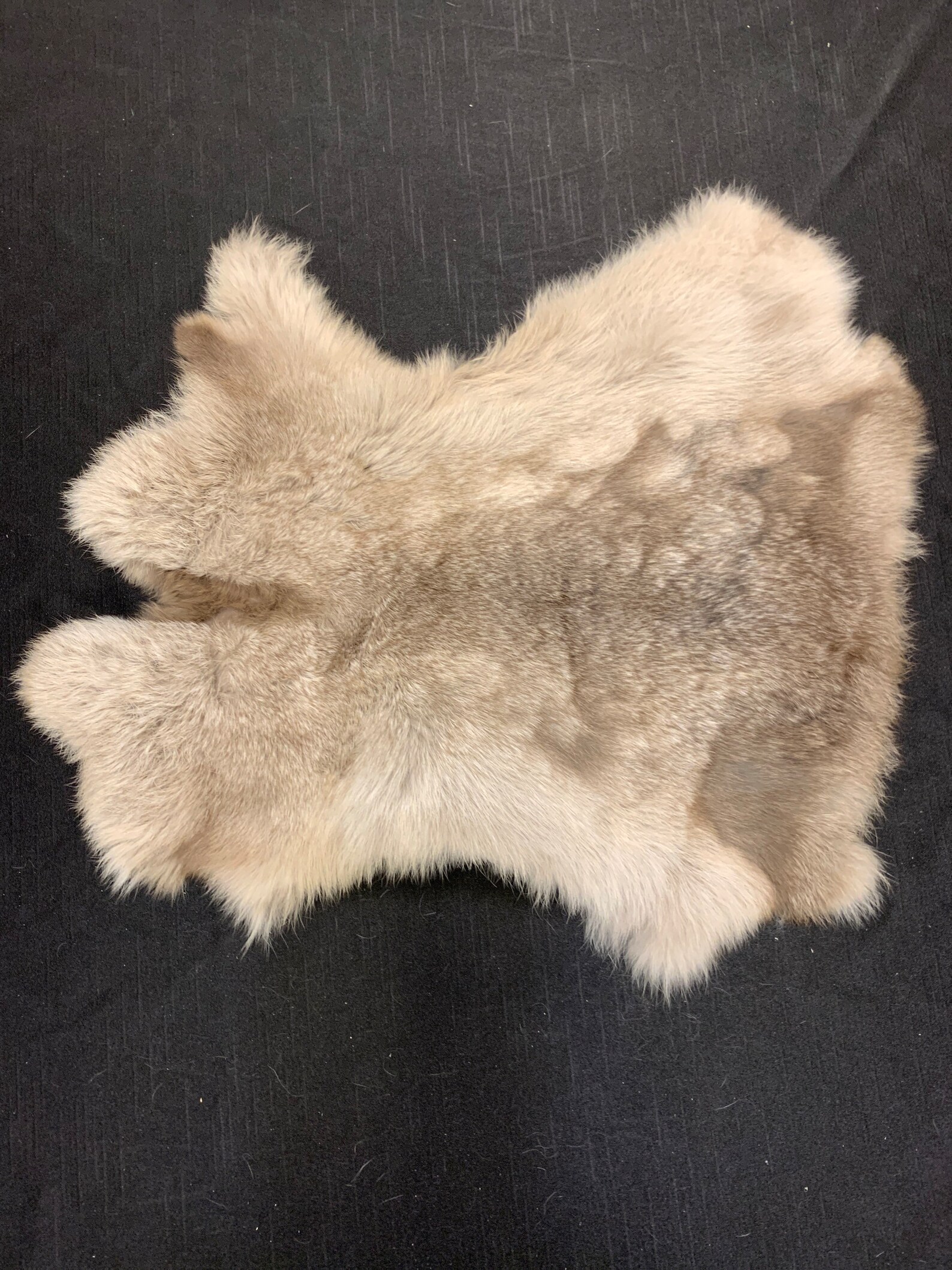 Rabbit Pelt With "horse" Image Screen Printed One Side. the Fur Side is ...