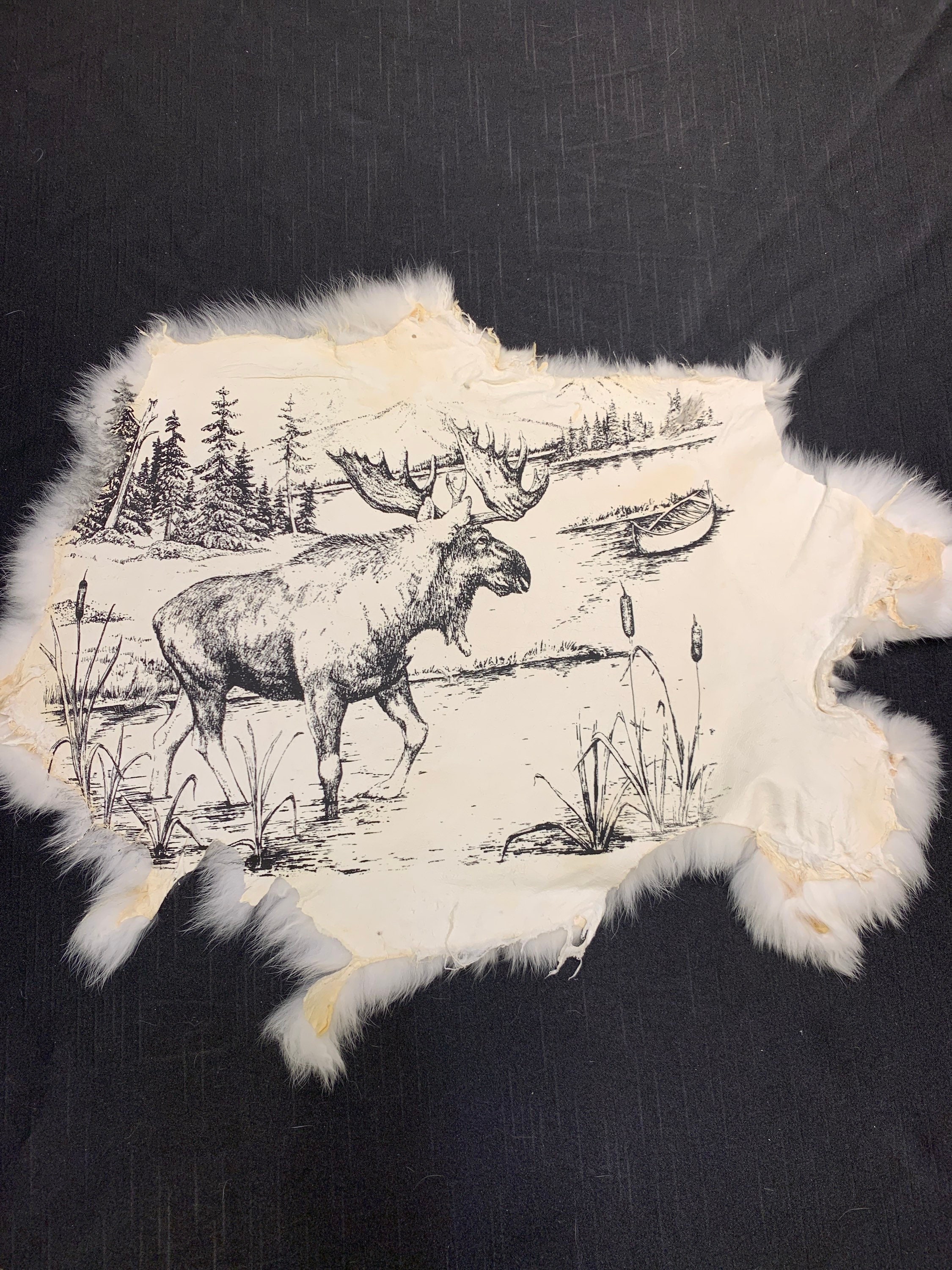 Rabbit Pelt With 