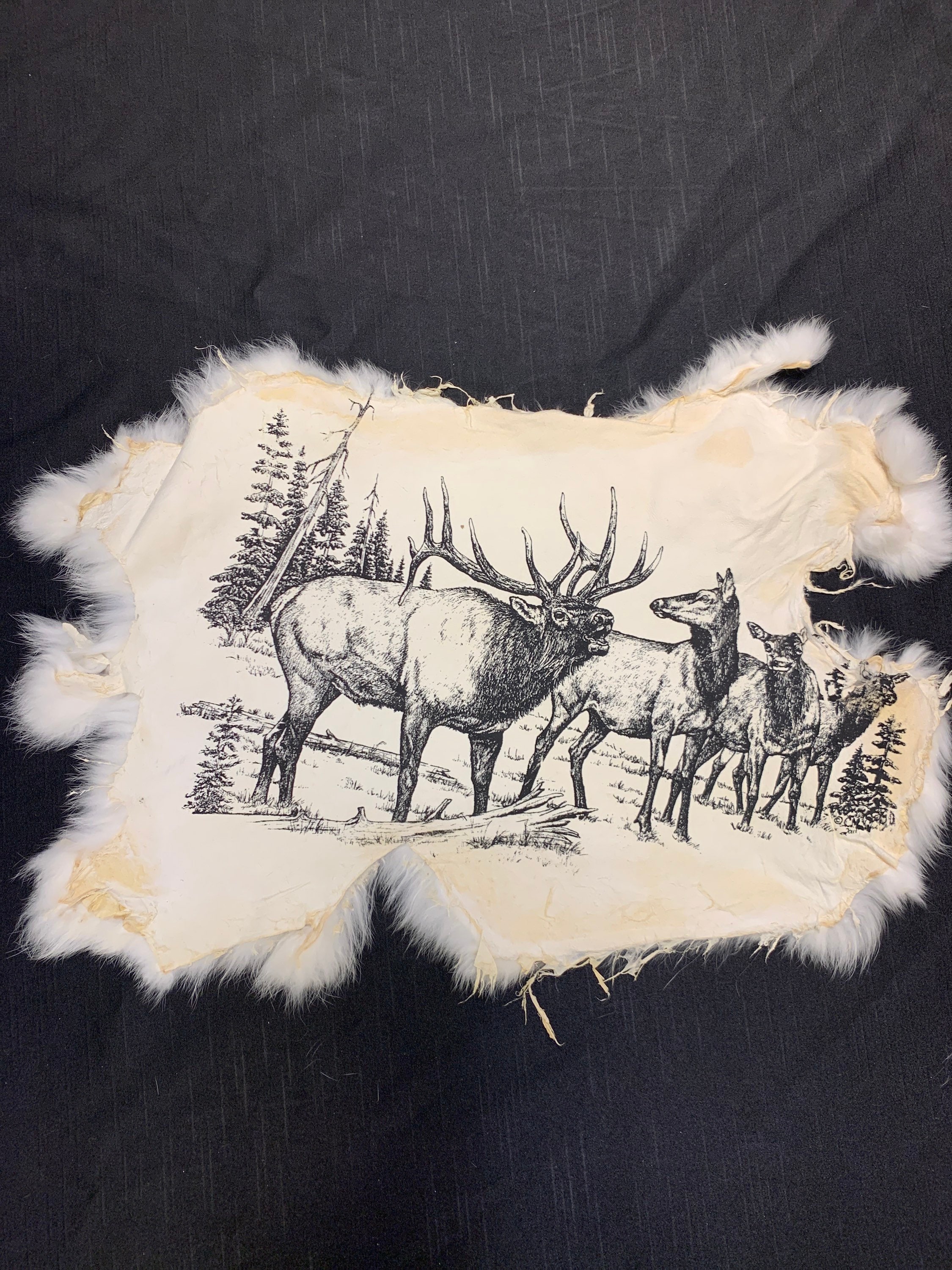 Rabbit Pelt With "elk" Image Screen Printed One Side. the Fur Side is ...