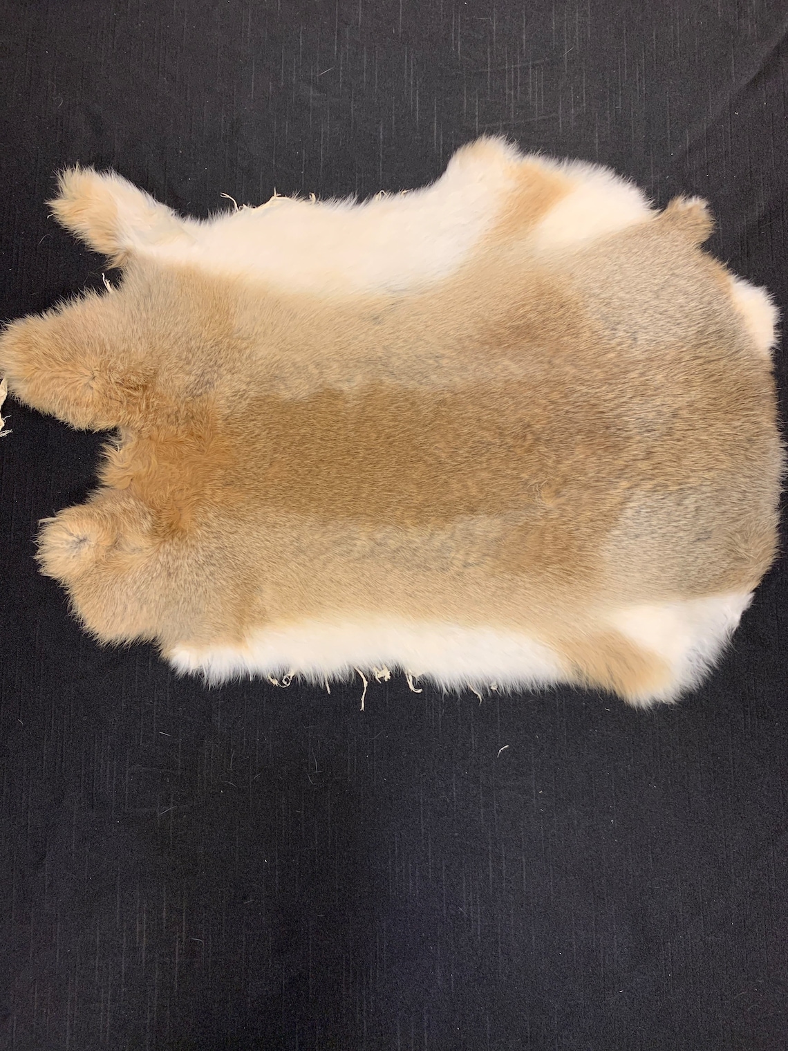 Rabbit Pelt Skin With elk Image Screen Printed One Side. the Fur Side ...