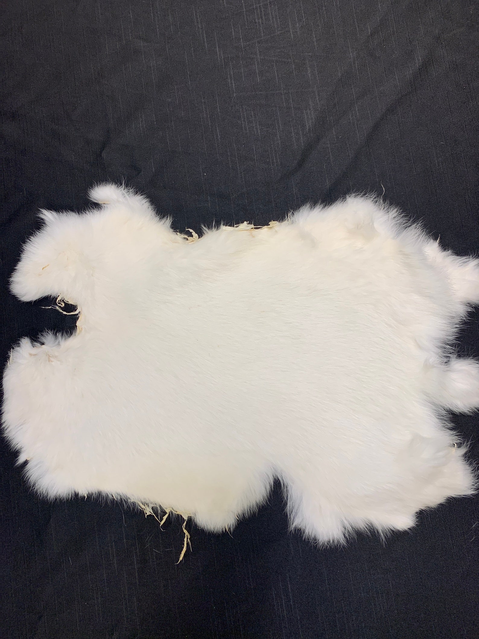 Rabbit Pelt With "elk" Image Screen Printed One Side. the Fur Side is ...