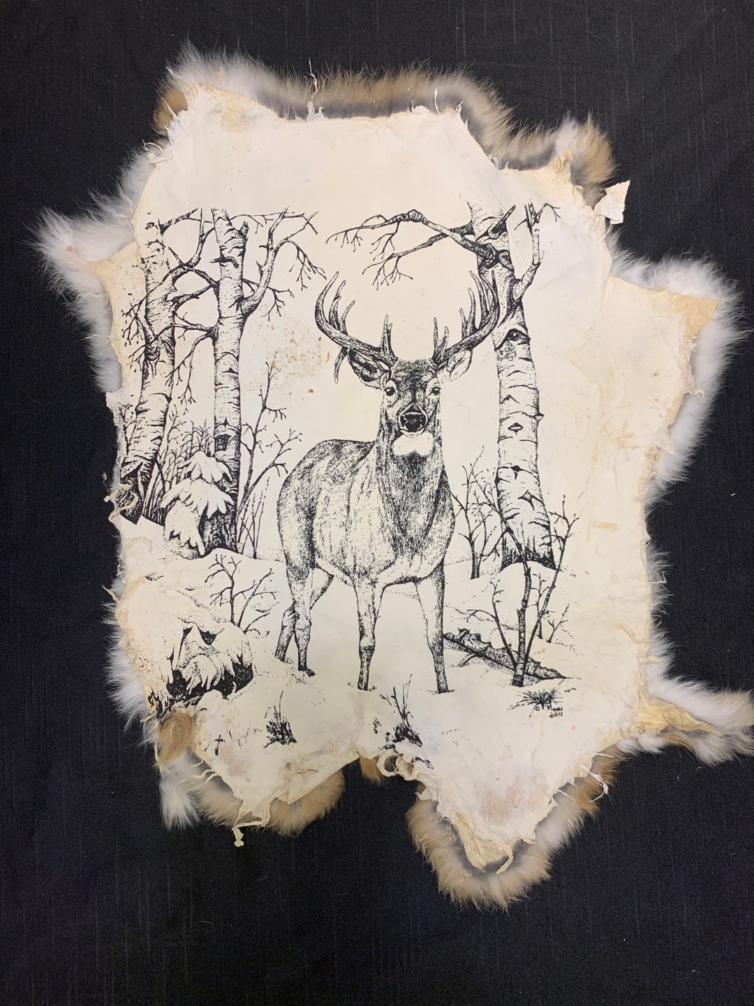 Rabbit Pelt With 