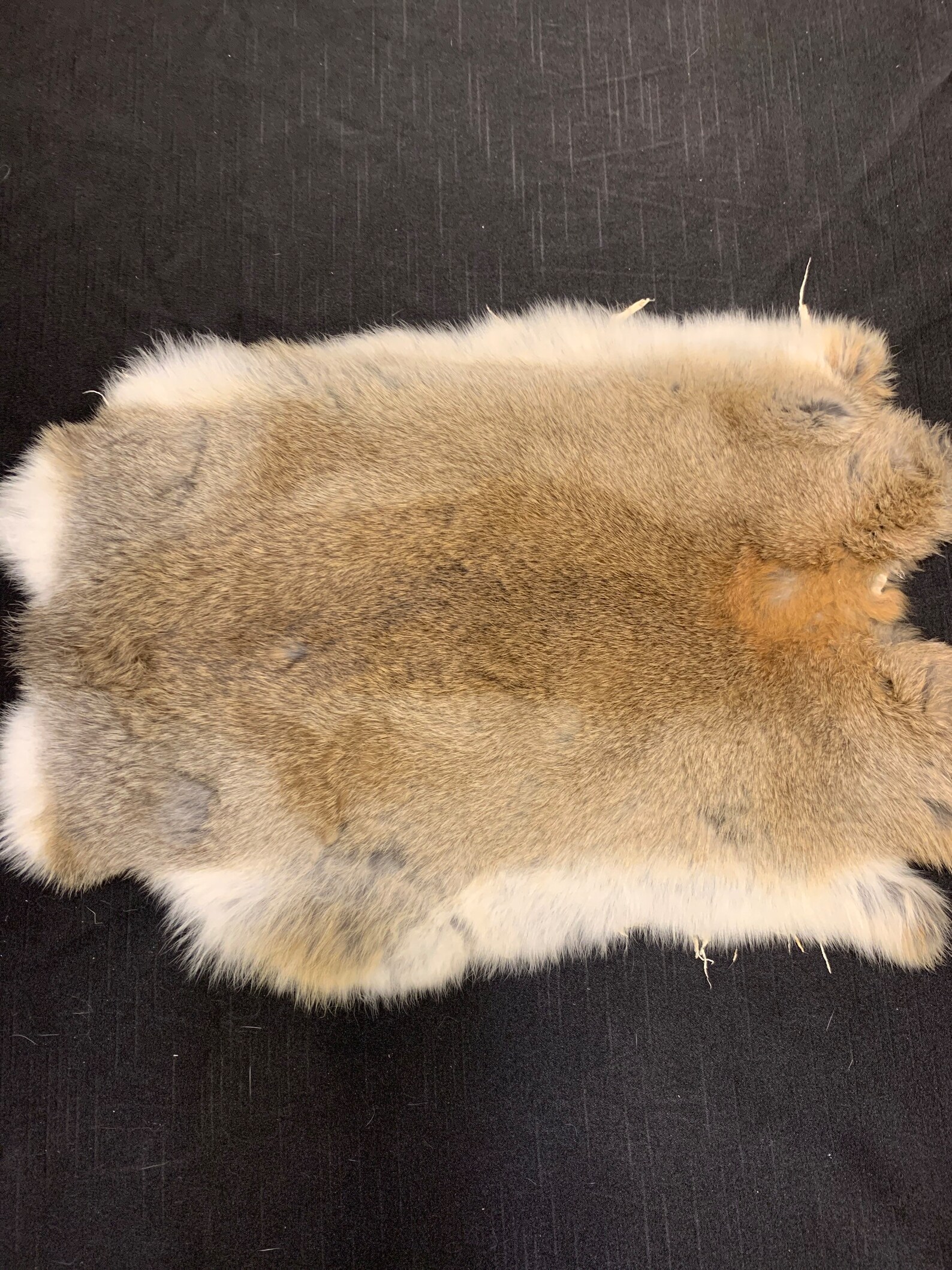 Rabbit Pelt Skin With "wolves” Image Screen Printed One Side. the Fur ...
