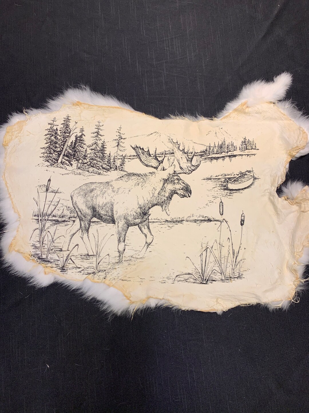 Rabbit Pelt With 