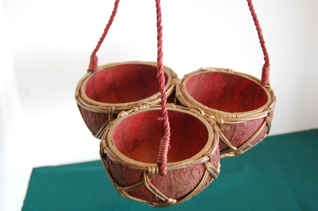 3 Part Hanging Planter, Coconut Shell Planter, Coconut Husk, Rope ...