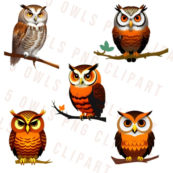 Wise Owl Clip Art