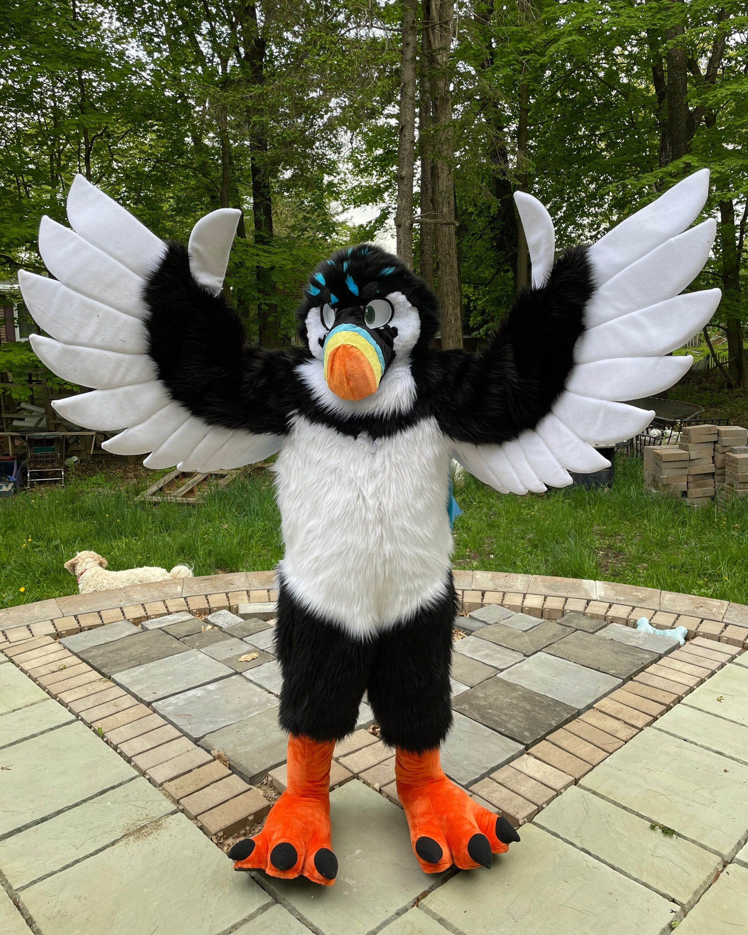 Bird Wings/wing Arm Pattern digital Pdf/tutorial A4/ANSI - Etsy