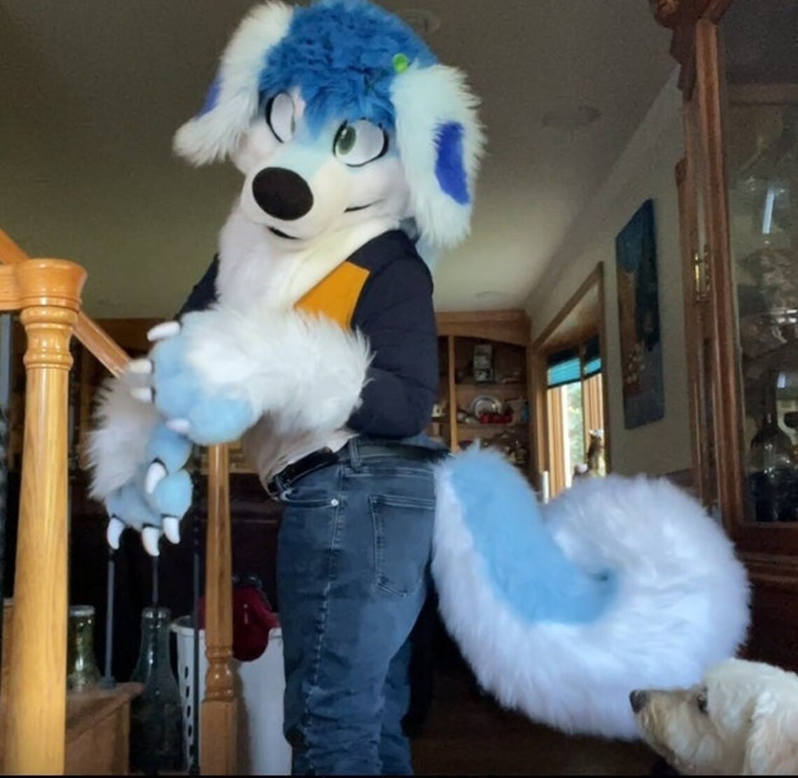 Curly Dog Tail V2 Pattern digital Pdf/tutorial A4/ANSI - Etsy