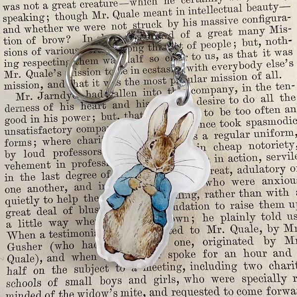 Peter Rabbit Keychain - Etsy