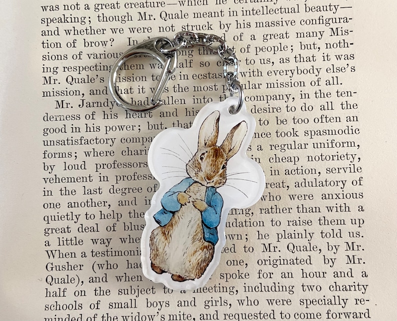 Peter Rabbit Illustration Keychain Great Gift - Etsy