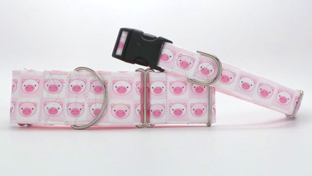 Little Pig, Little Pig CANVAS Dog Collar (martingale, Buckle or Tag) - Etsy