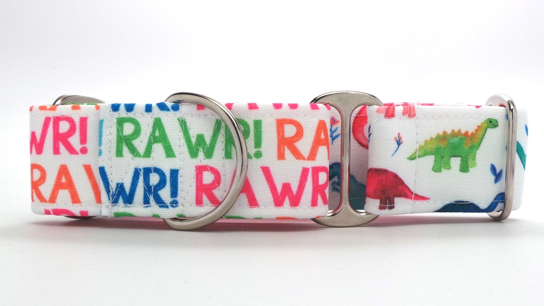 Rainbow Say RAWR! With Accent Fabric CANVAS Dog Collar (martingale ...