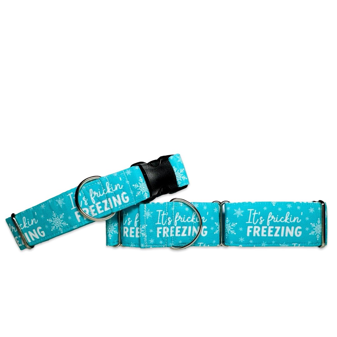 It's Frickin' Freezing! CANVAS Dog Collar (martingale, Buckle, or Tag ...