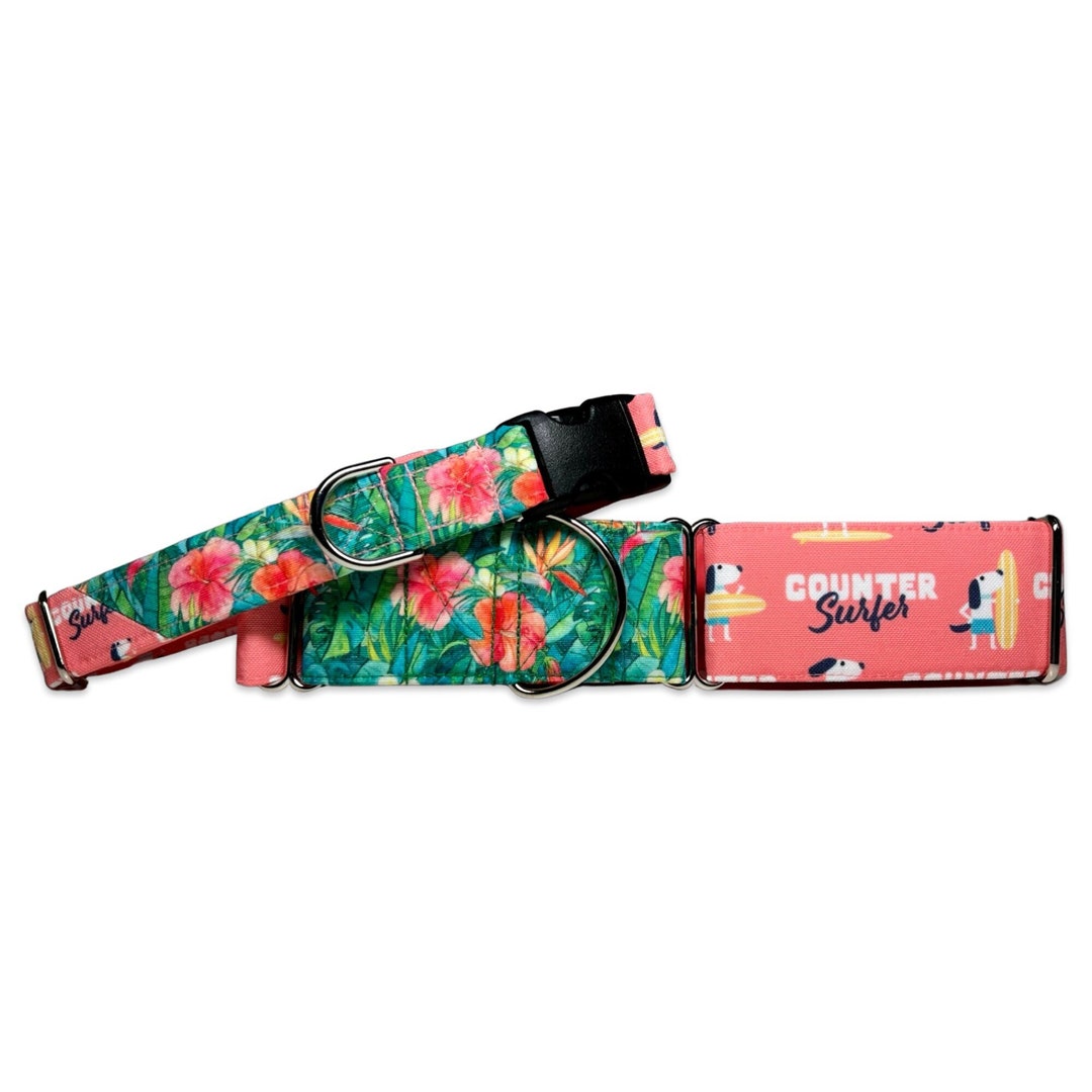Counter Surfer Coral CANVAS Dog Collar (martingale, Buckle, or Tag) - Etsy