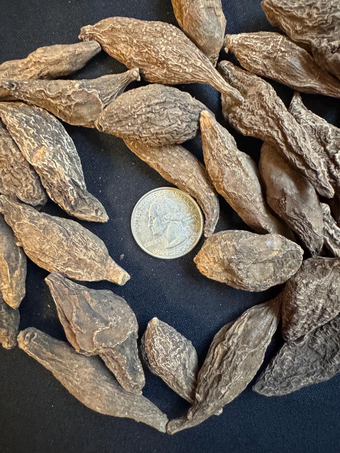 High John the Conqueror Root | Conjure | Hoodoo - Etsy