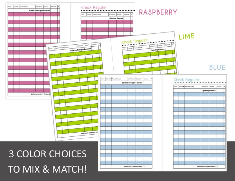 Mini Happy Planner CHECK REGISTERS Just the Basics: Raspberry - Etsy