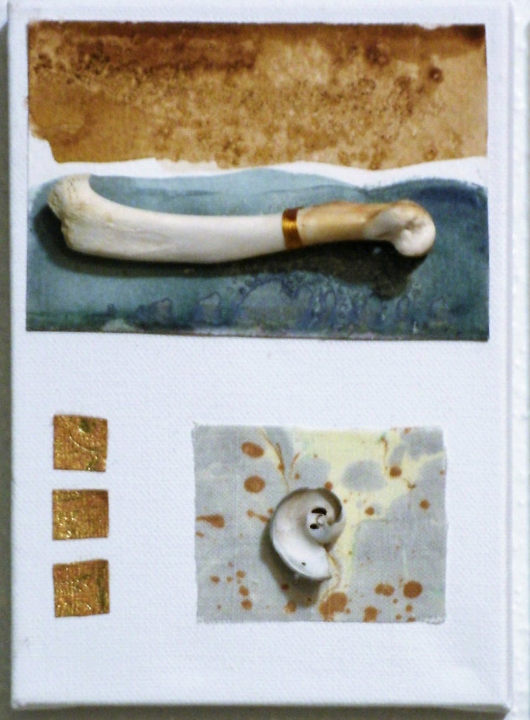 Bone and Shell Assemblage on Canvas; Collage - Etsy