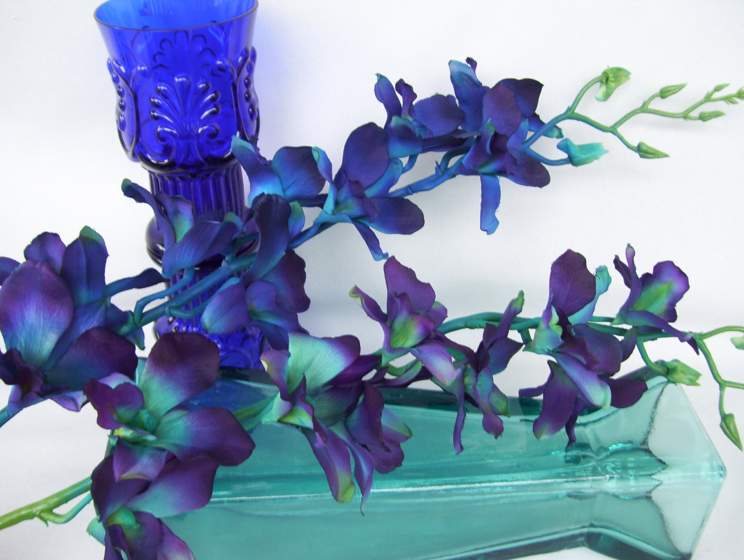 Blue Dendrobium Orchid Centerpieces