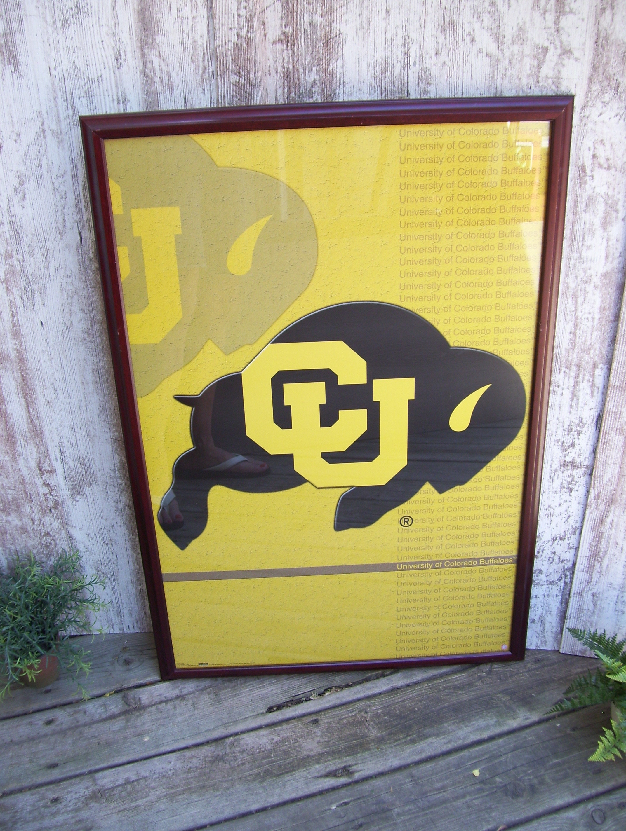 LARGE University of Colorado Buffaloes Football Framed Poster | Etsy