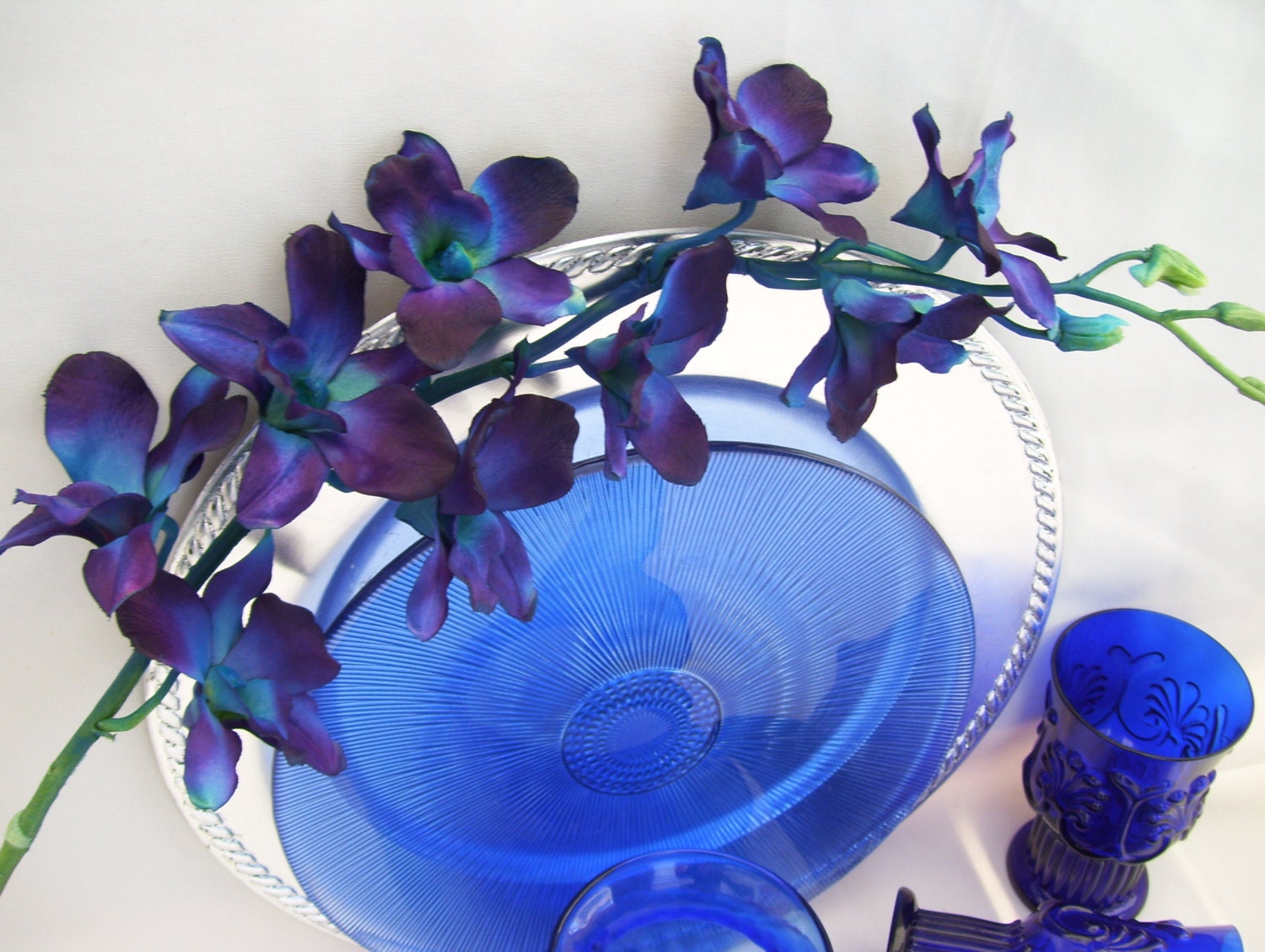 Dendrobium Orchids Submerged