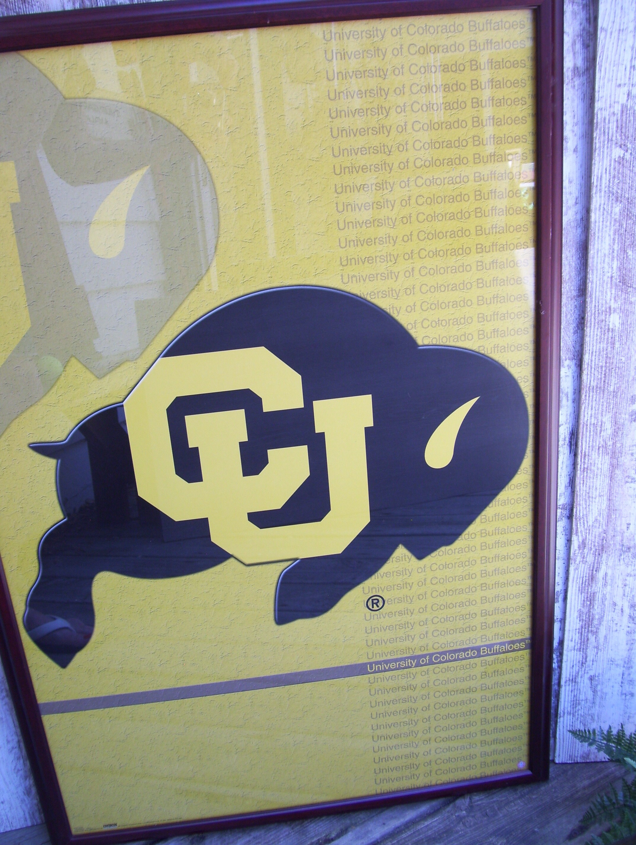 LARGE University of Colorado Buffaloes Football Framed Poster | Etsy