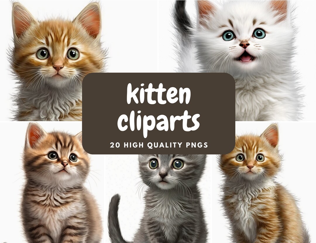 Kitten Clipart - 20 High Quality Pngs - Digital Download - Commercial ...