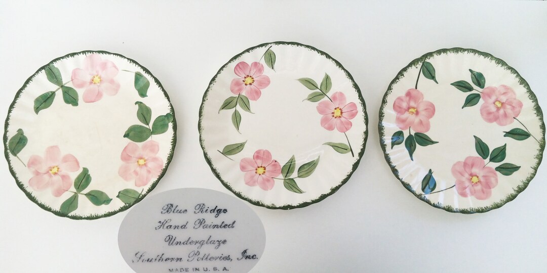 The SOUTHERN POTTERIES Vintage Plates Pink Green Poppy Floral Blue ...