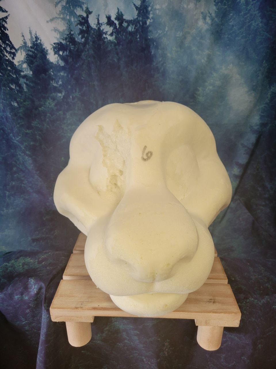 Foam Cast Feline Head Base 6 Grade B - Etsy