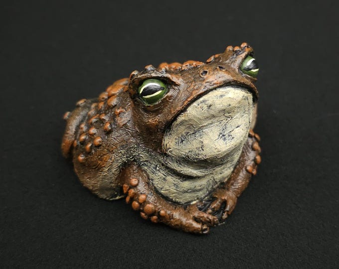 Real Medium Flying Tree Frog Rhacophorus Reinwardtii Dried Mummified ...
