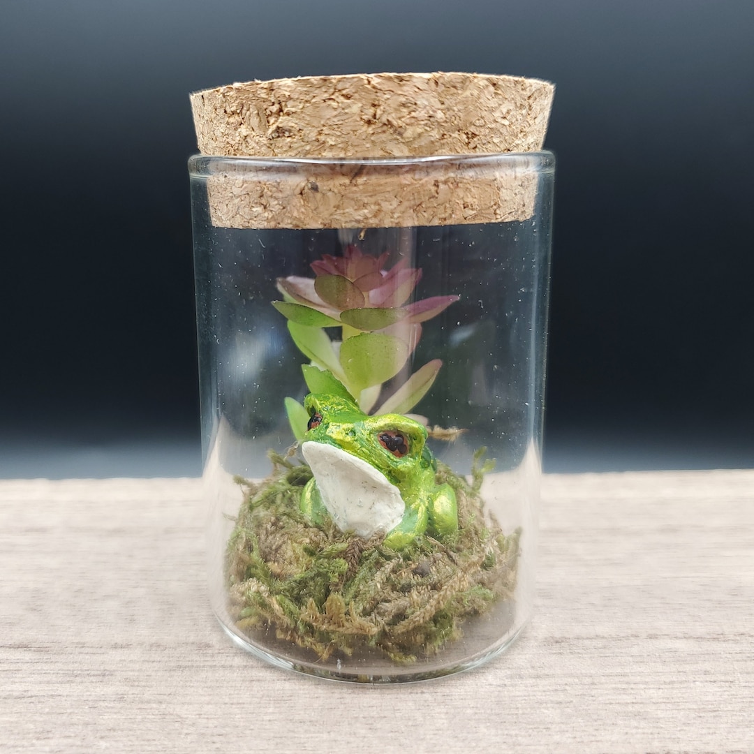 Grumpy Pet Frog in a Jar Sculpture - Etsy