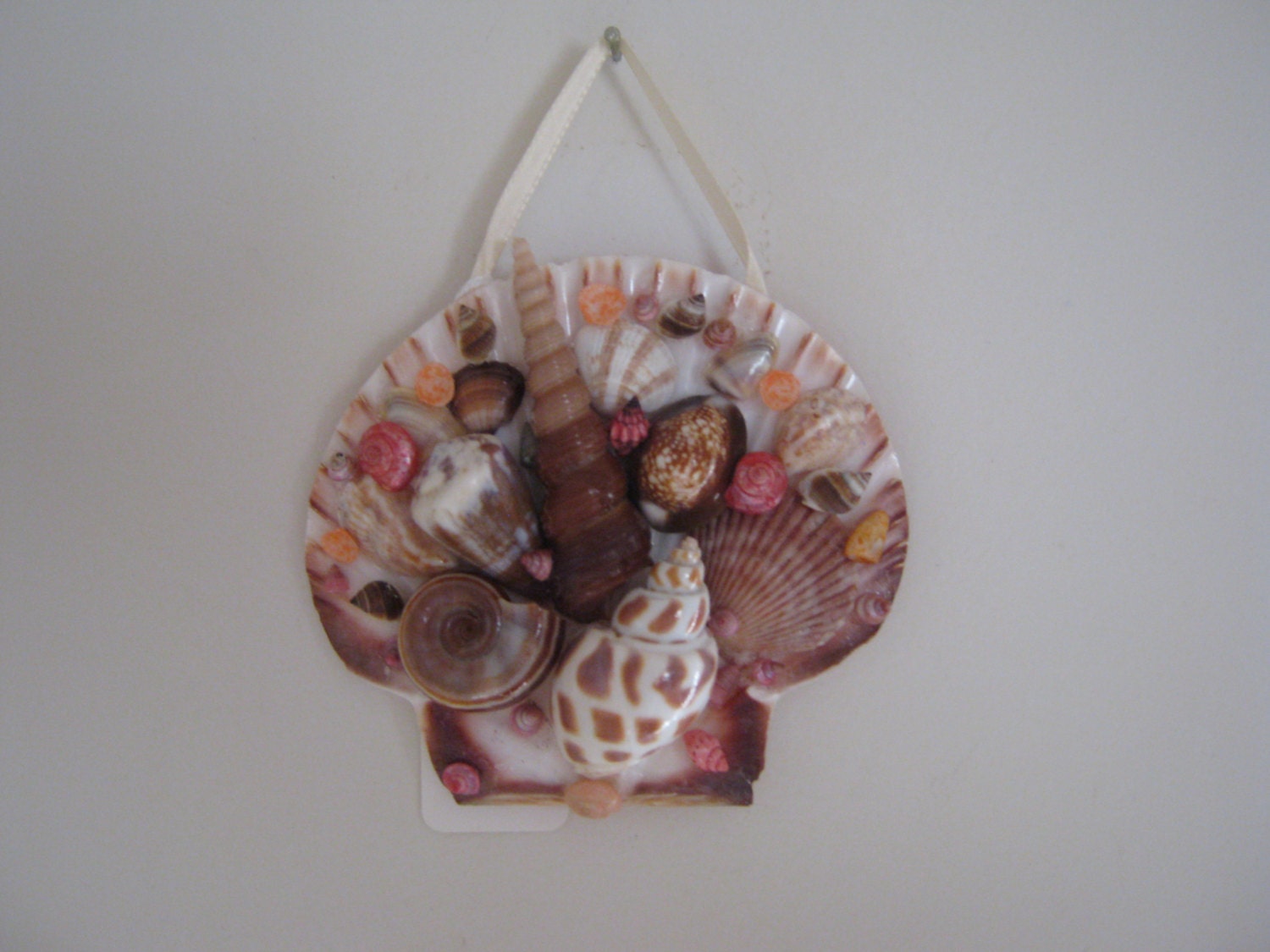 Sea Shell Wall Hanging Brown Red Shell Art Beach Decor Nautical Home ...