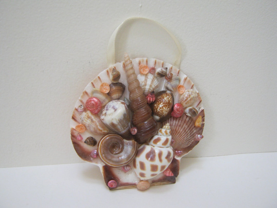 Sea Shell Wall Hanging Brown Red Shell Art Beach Decor Nautical Home ...