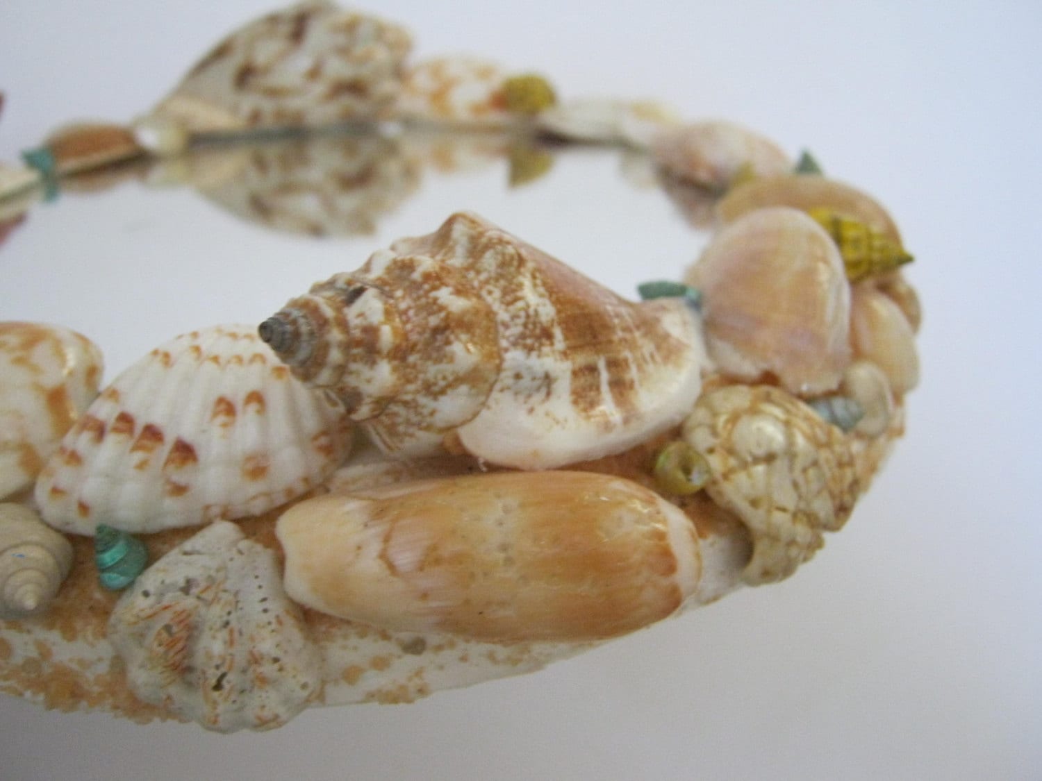 Sea Shell Mirror Round Cream Beige and Brown Shell Art Housewares ...