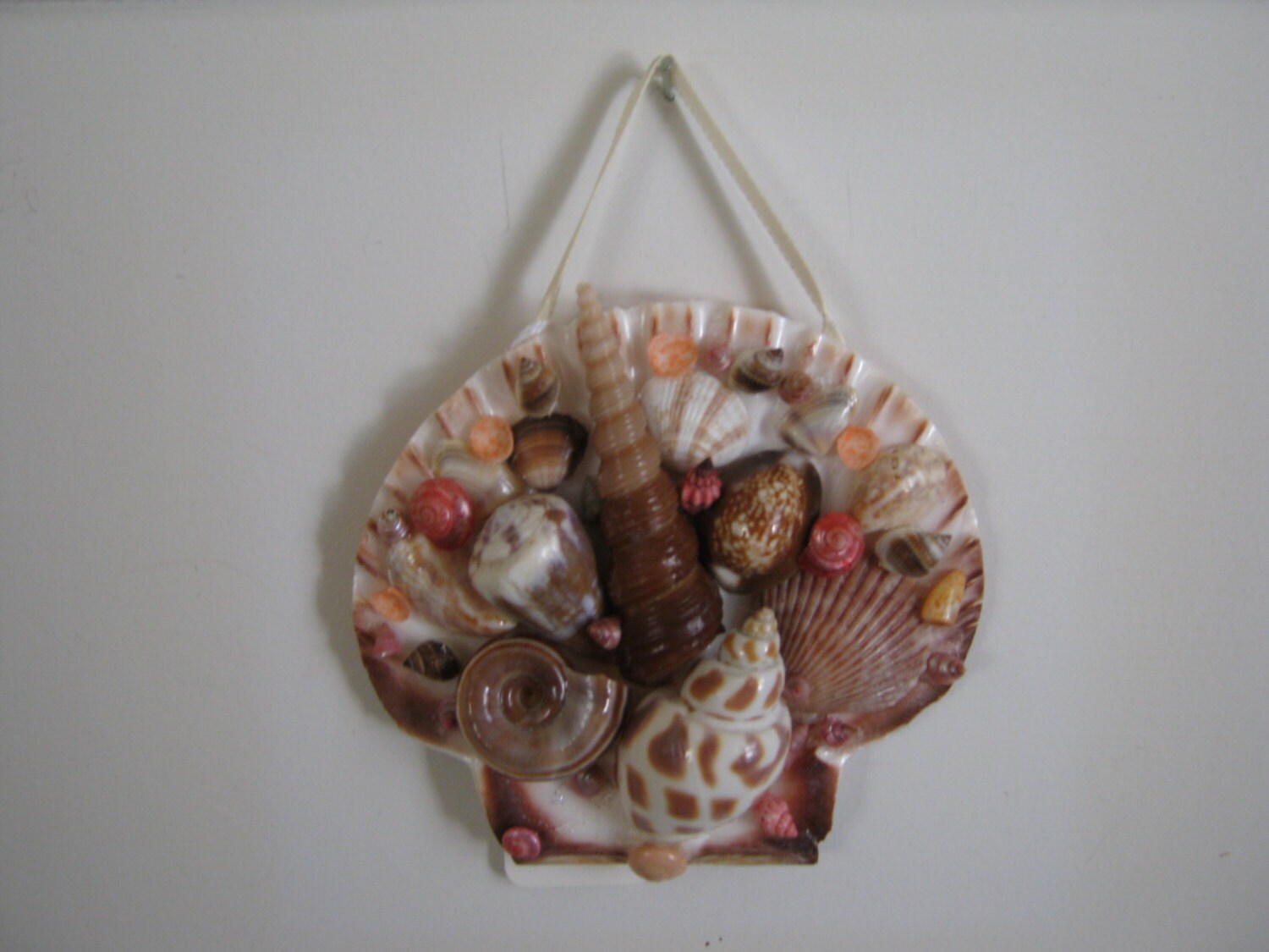 Sea Shell Wall Hanging Brown Red Shell Art Beach Decor Nautical Home ...