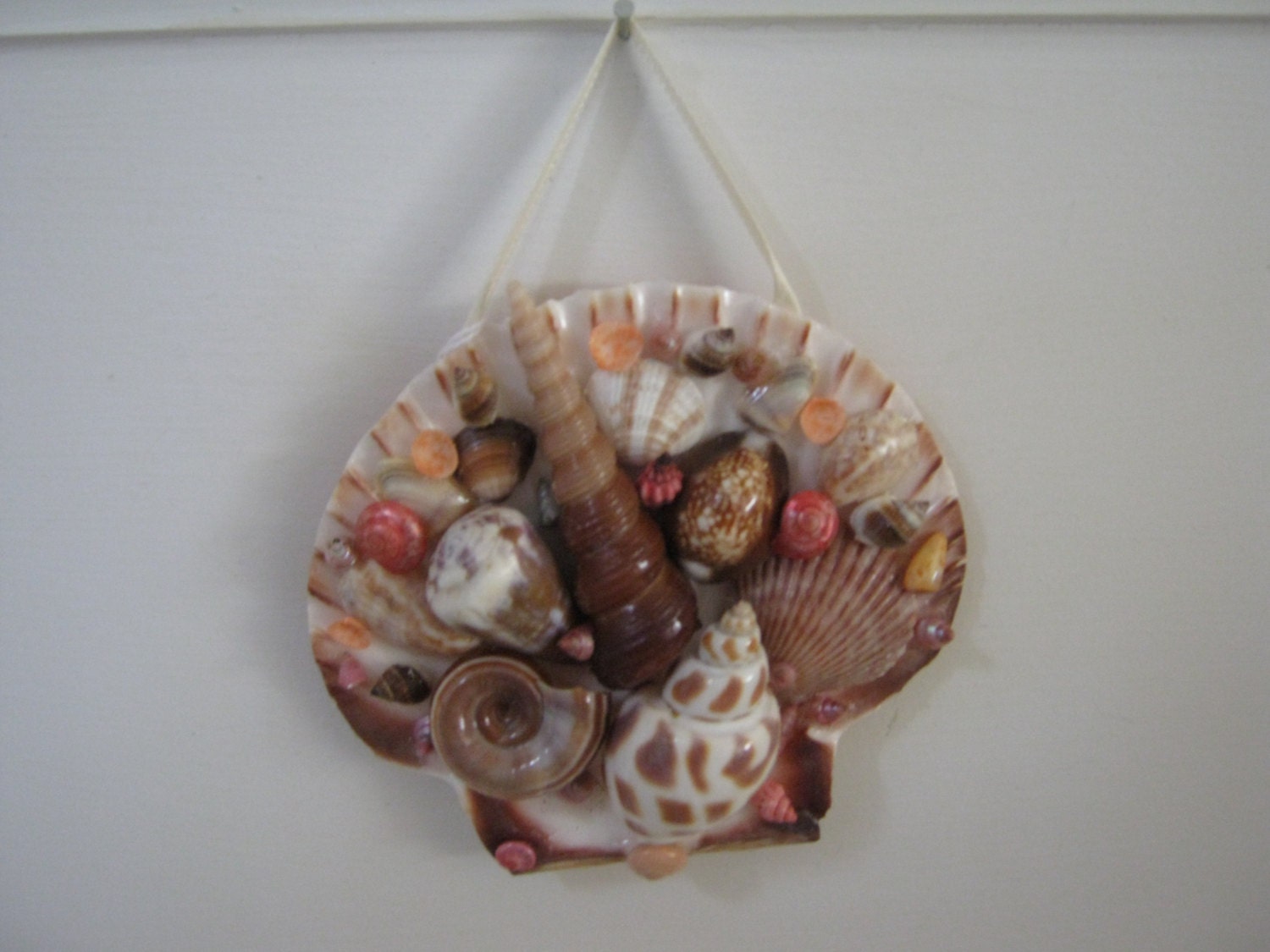 Sea Shell Wall Hanging Brown Red Shell Art Beach Decor Nautical Home ...
