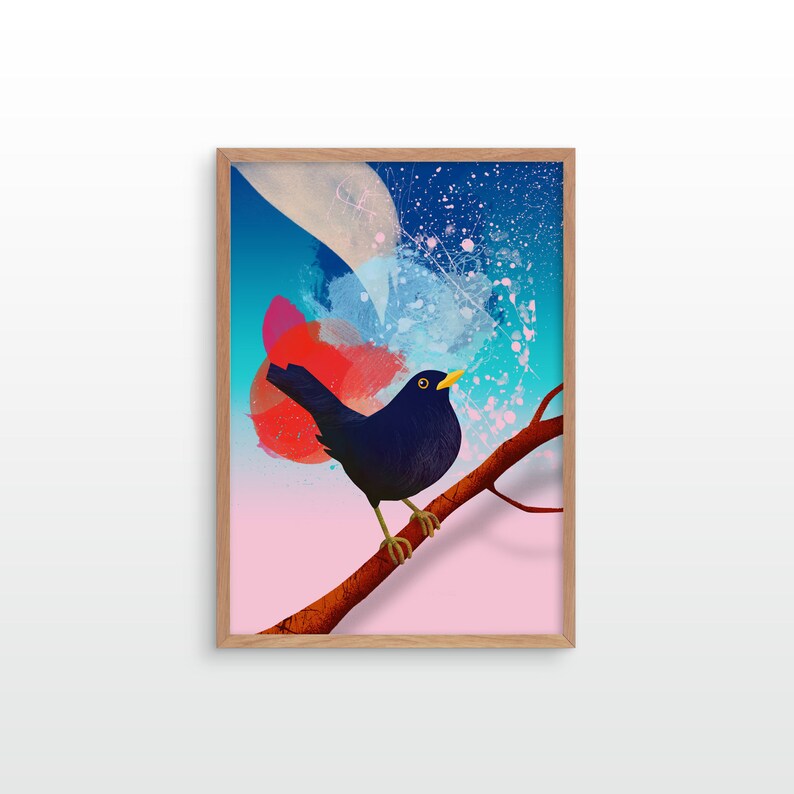 Common Blackbird. Illustration. Printed on Art Paper. - Etsy